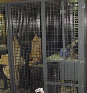 TA-50 Military Storage Lockers - Cannon Air Force Base | WireCrafters